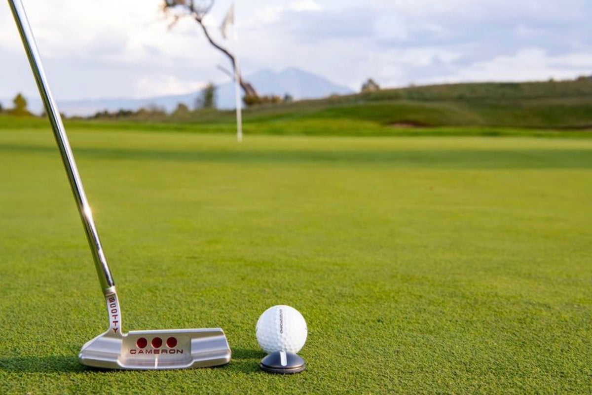 1 RAIL DIMPLE-DOMED + COIN – OnPointGolf.us